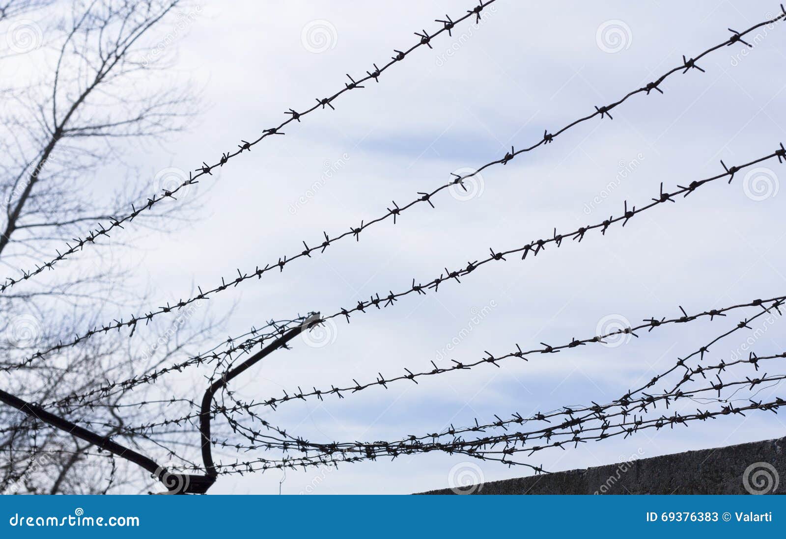 Security with a Barbed Wire Fence. Protection Concept Design. Stock ...