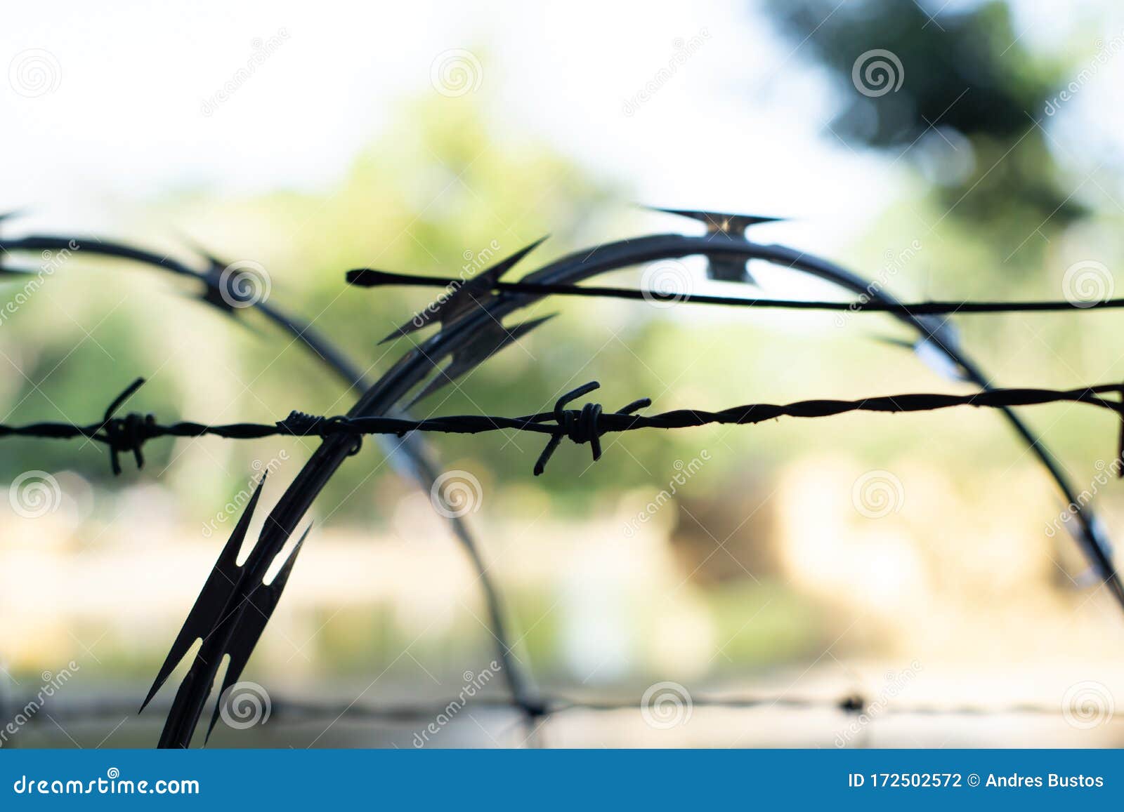 Security Barbed Wire Closer in Color Stock Photo - Image of cloud ...
