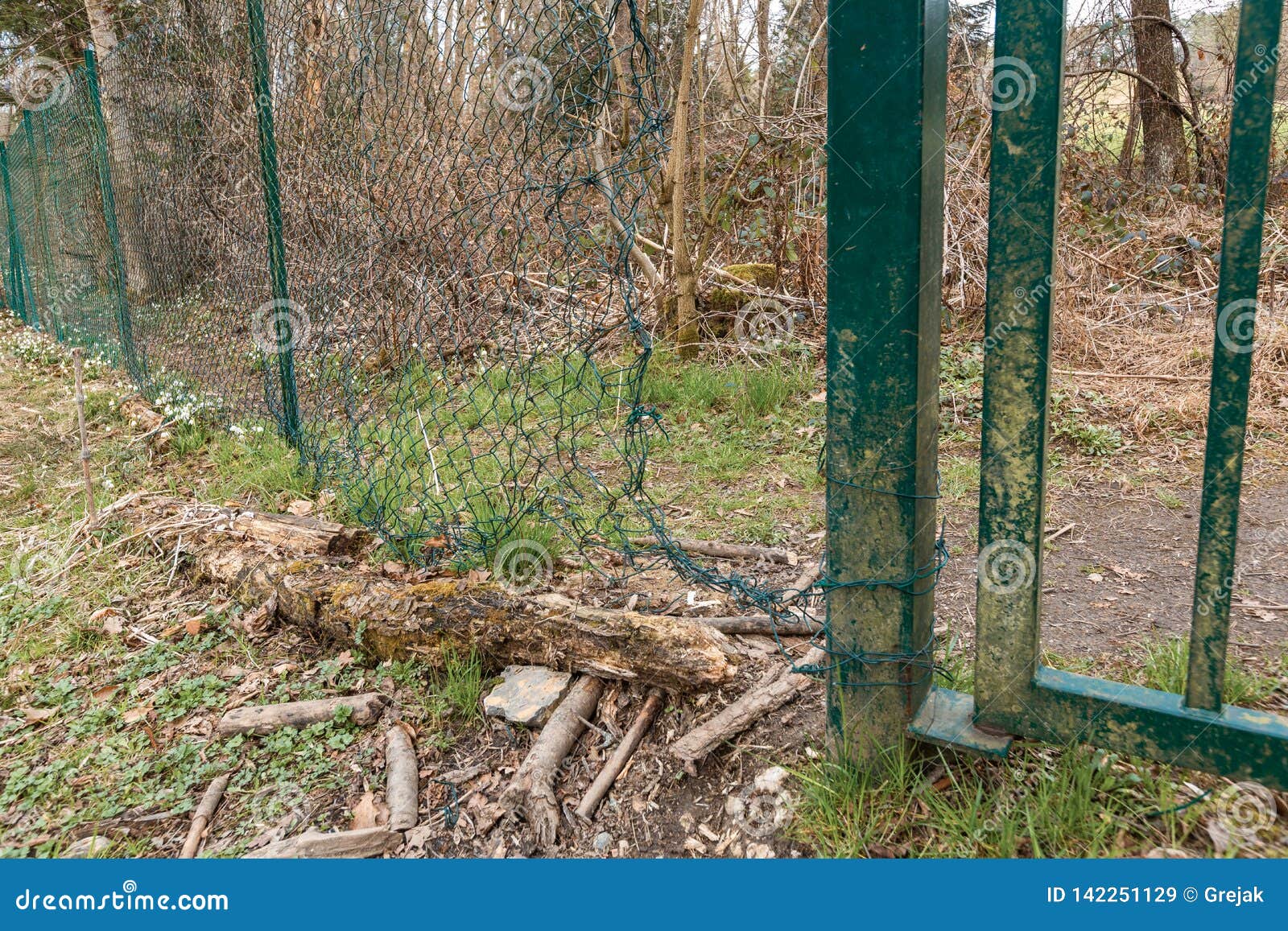 Big Hole in Wire Mesh Fence Stock Image - Image of boundary, forced ...