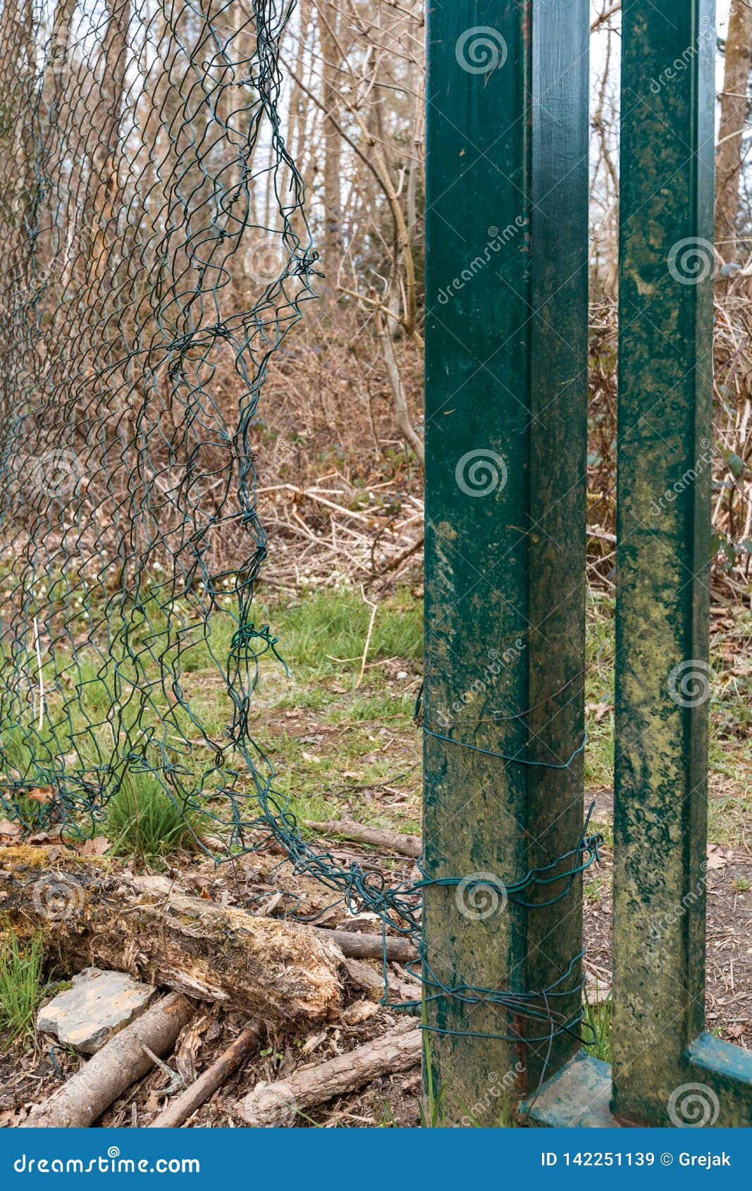 Big Hole in Wire Mesh Fence Stock Image - Image of break, gate: 142251139