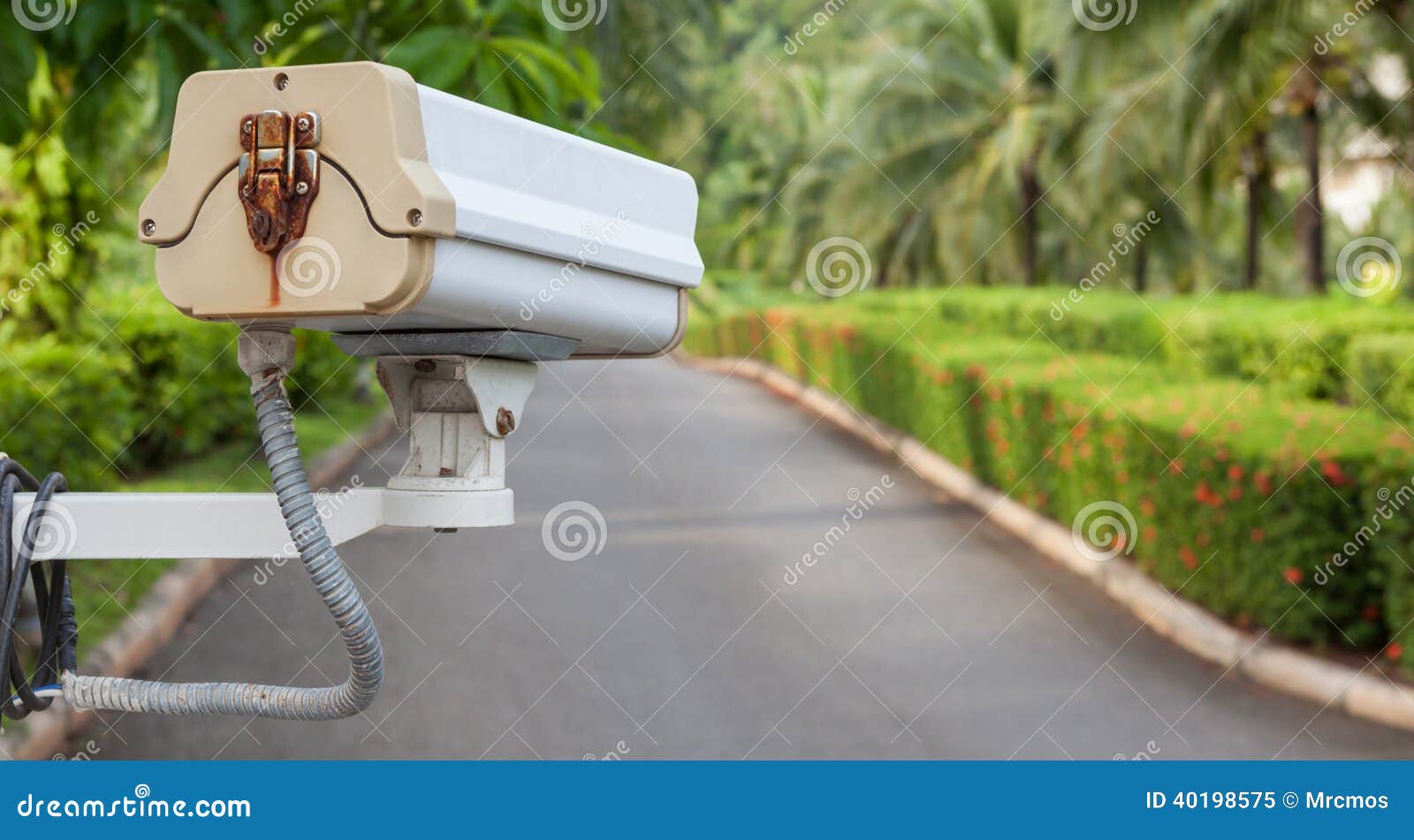 Security Camera, CCTV in Garden Stock Image - Image of monitor, alarm ...