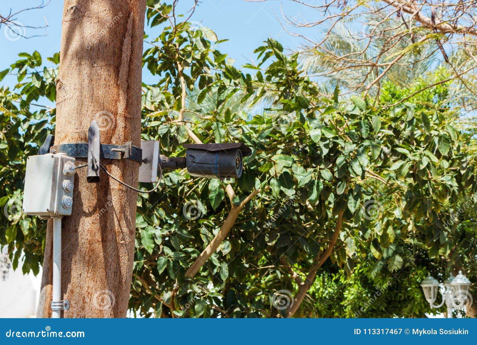 Security Camera on Front of Palm Trees. CCTV Camera Stock Image - Image ...