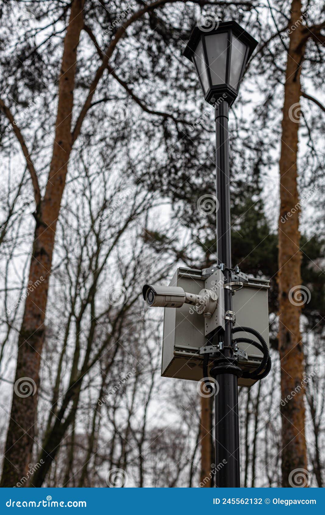 Security Camera Mounted on a Lamppost in the Park Stock Photo - Image ...