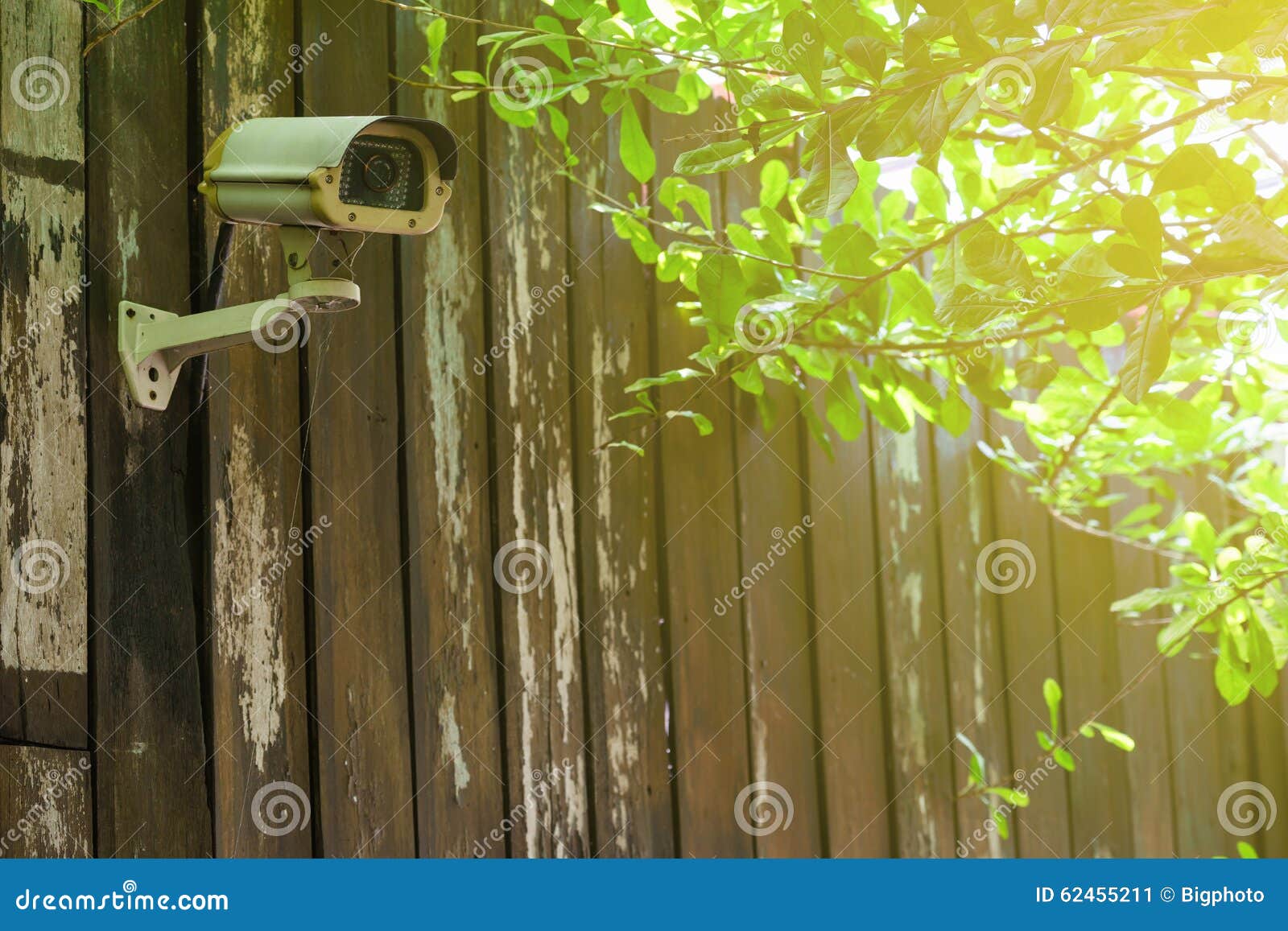 Security Camera Fall Leaves Stock Photos - Free & Royalty-Free Stock ...