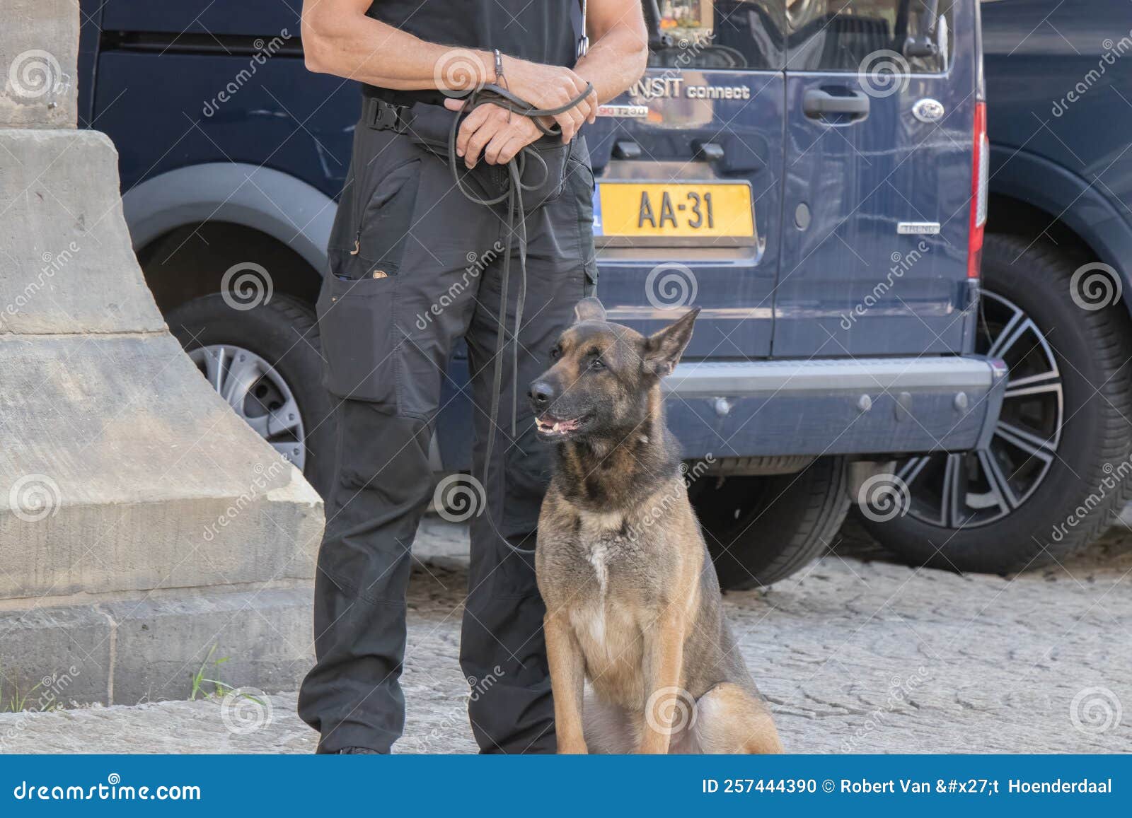 Security Dog at Amsterdam the Netherlands 11-6-2022 Editorial Image ...