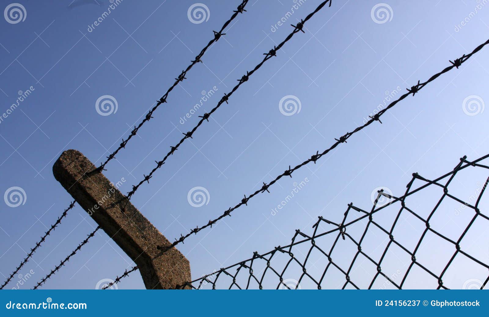 Security Fence stock image. Image of concrete, barbed - 24156237
