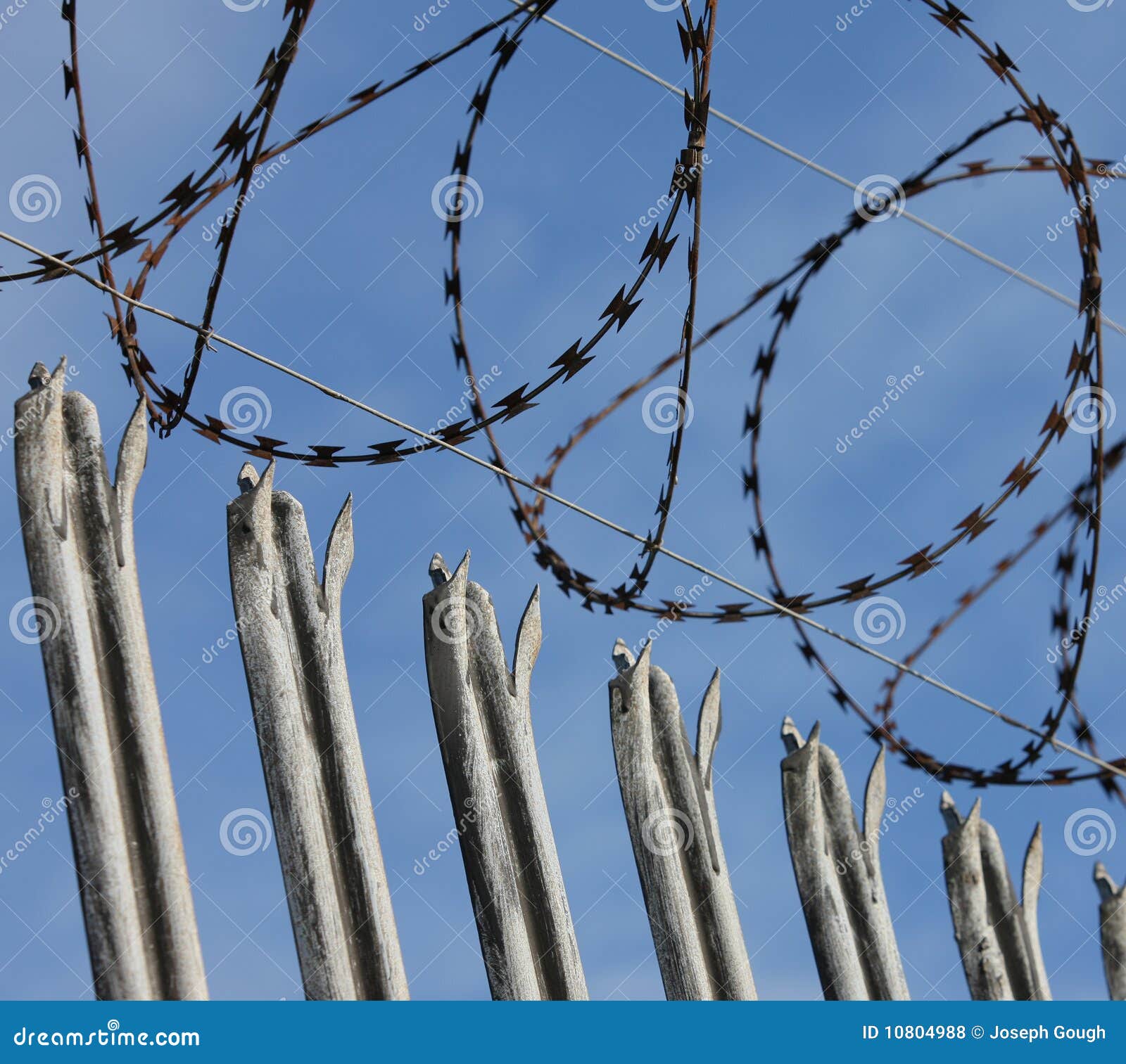 Security Fence with Razor Wire Stock Photo - Image of enclosure, wire ...