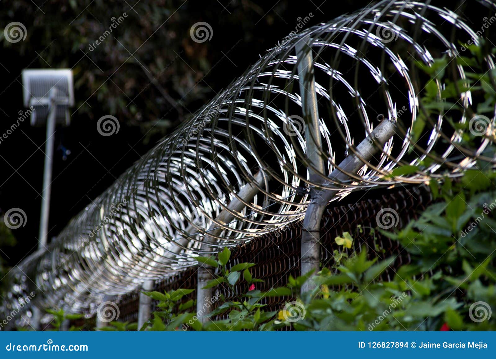 Security Wire Fence Stock Photography | CartoonDealer.com #126827894
