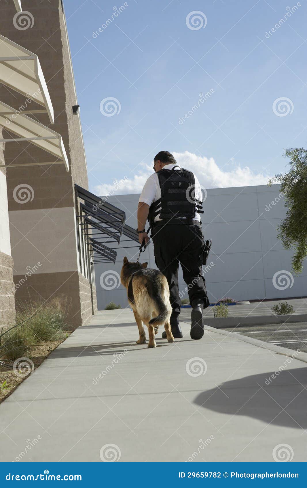 Security Guard with Dog on Patrol Stock Photo - Image of male, loyal ...