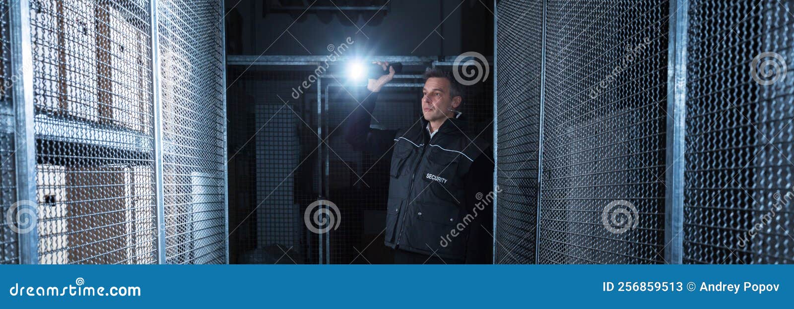 Security Guard with Flashlight at Night Stock Image - Image of officer ...
