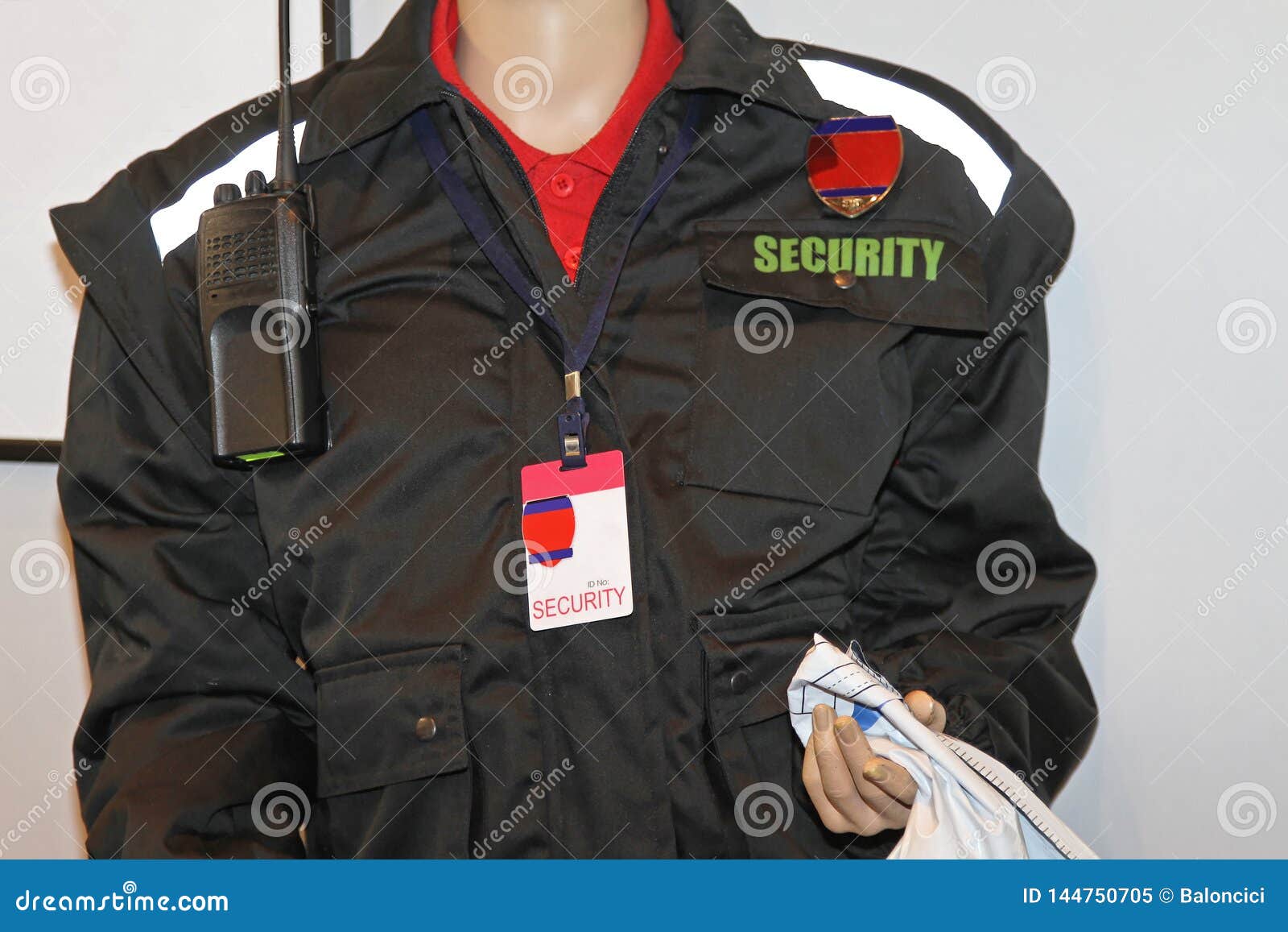 Security stock image. Image of identification, safety - 144750705