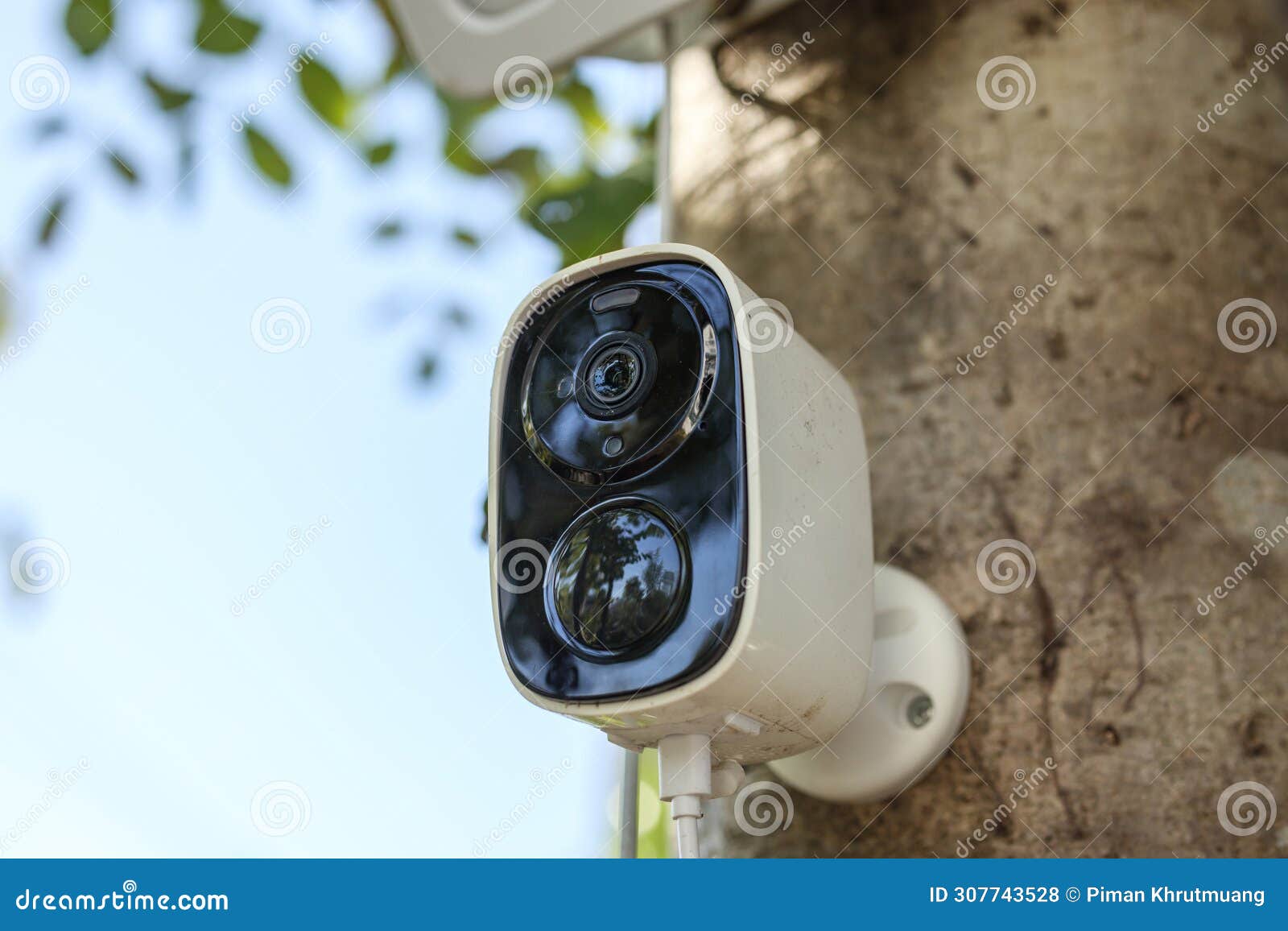Security IP CCTV Camera Using Solar Energy Install on the Tree Stock ...