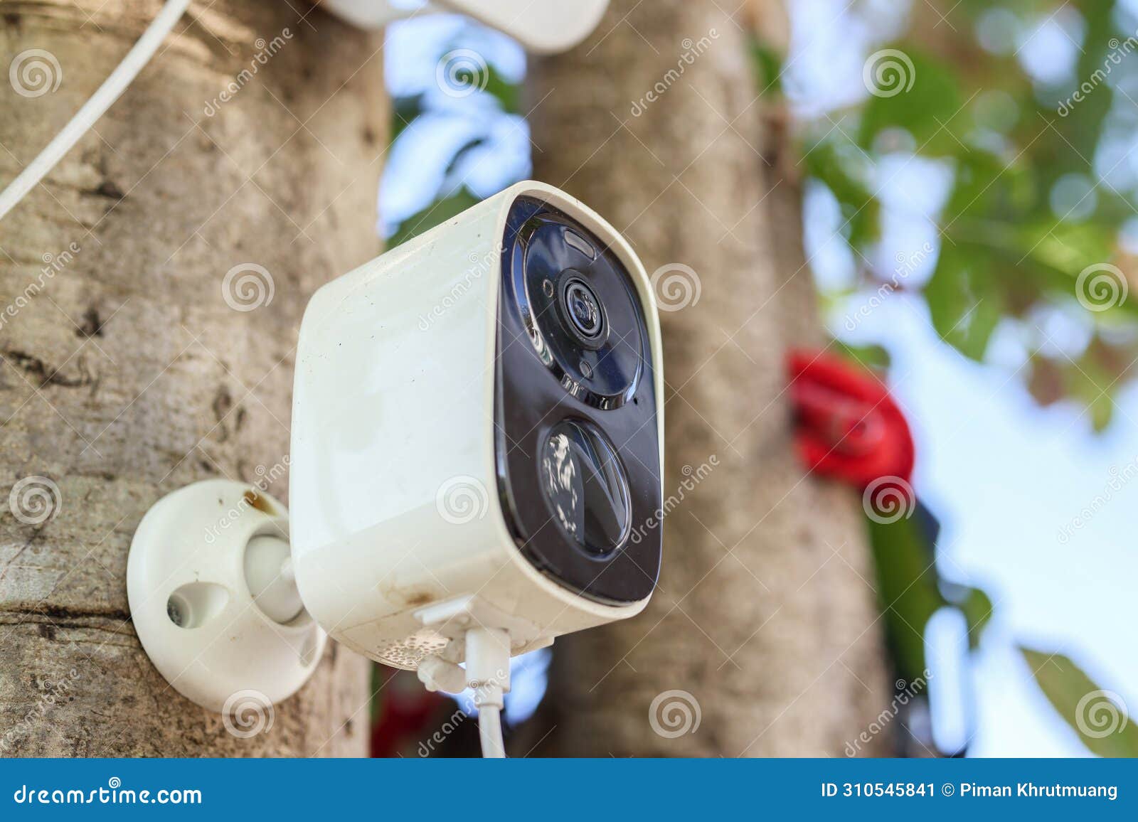 Security IP CCTV Camera Using Solar Energy Install on the Tree Stock ...