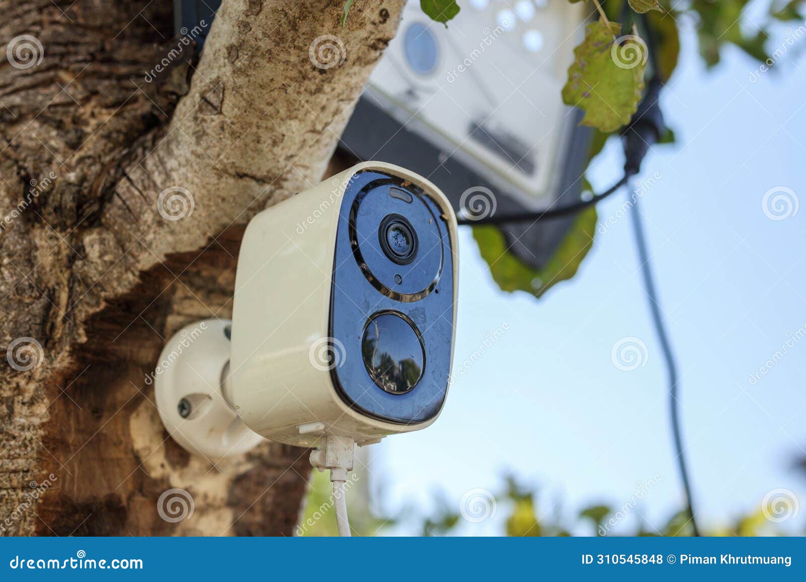 Security IP CCTV Camera Using Solar Energy Install on the Tree Stock ...