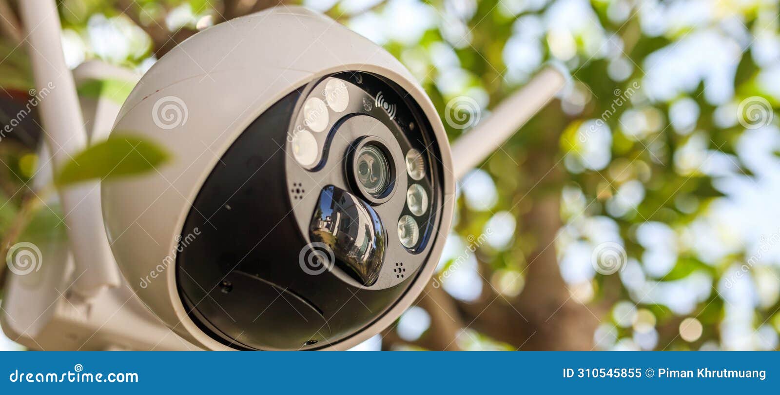 Security IP CCTV Camera Using Solar Energy Install on the Tree for Home ...