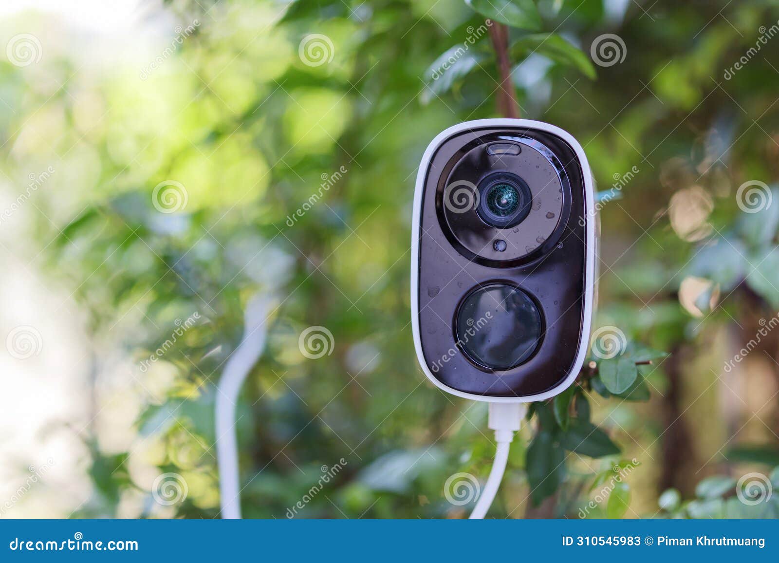 Security IP CCTV Camera Using Solar Energy Install on the Tree Stock ...