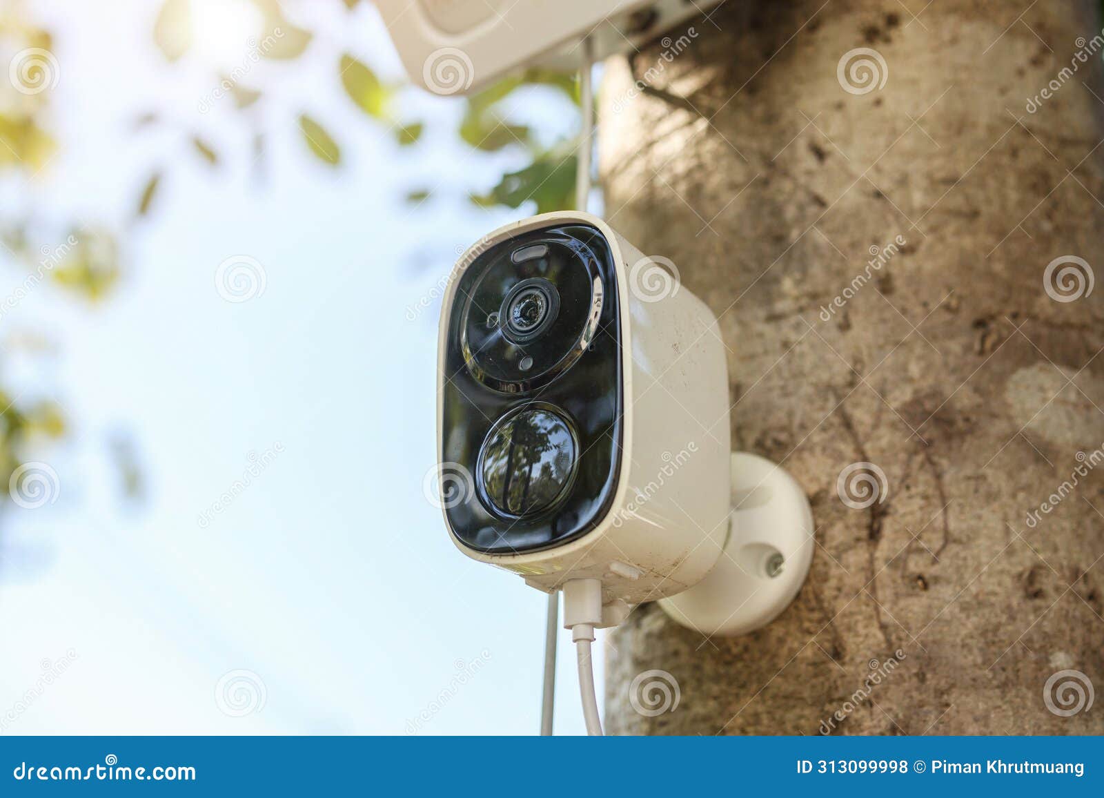Security IP CCTV Camera Using Solar Energy Install on the Tree Stock ...