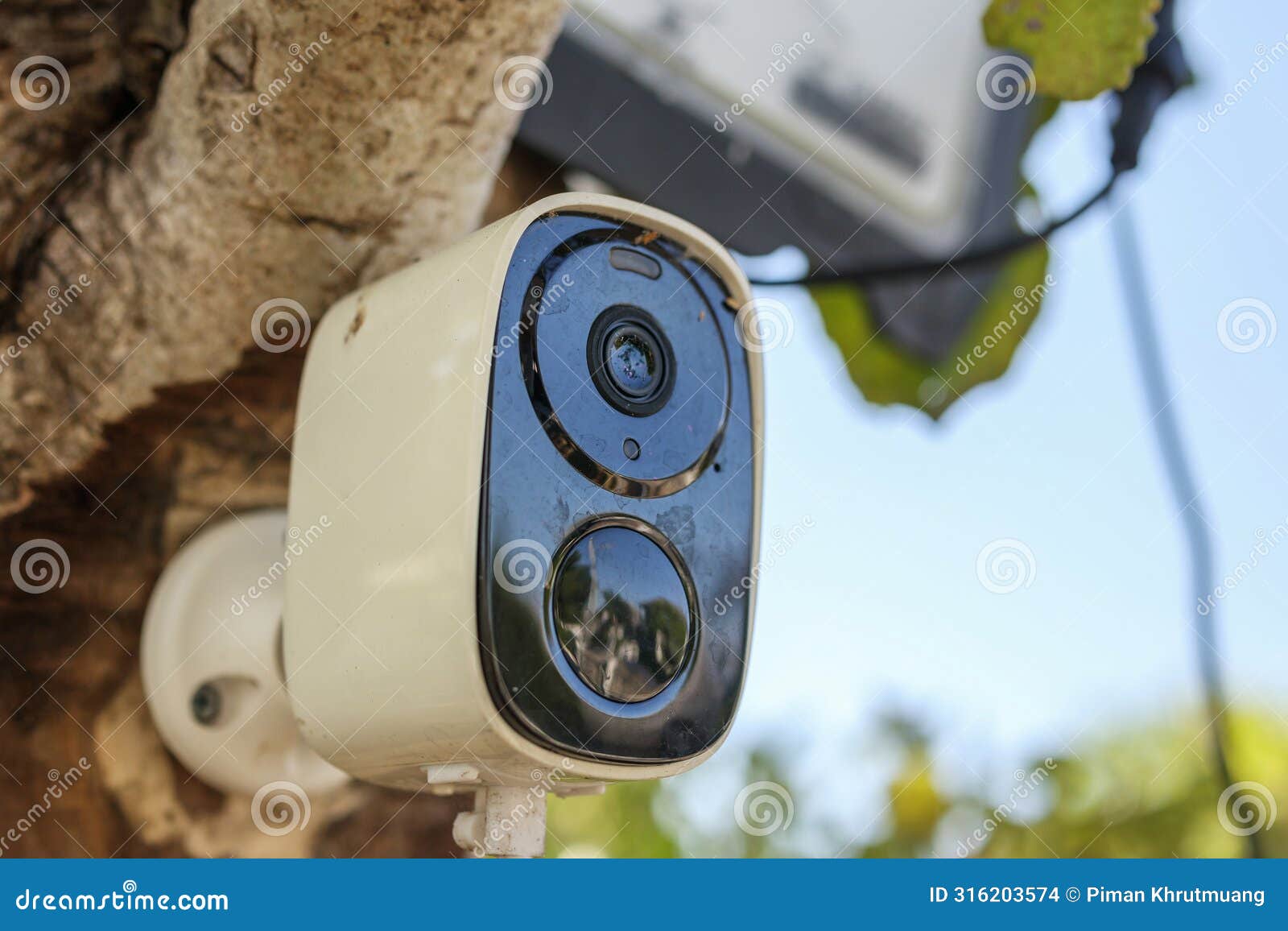Security IP CCTV Camera Using Solar Energy Install on the Tree for Home ...