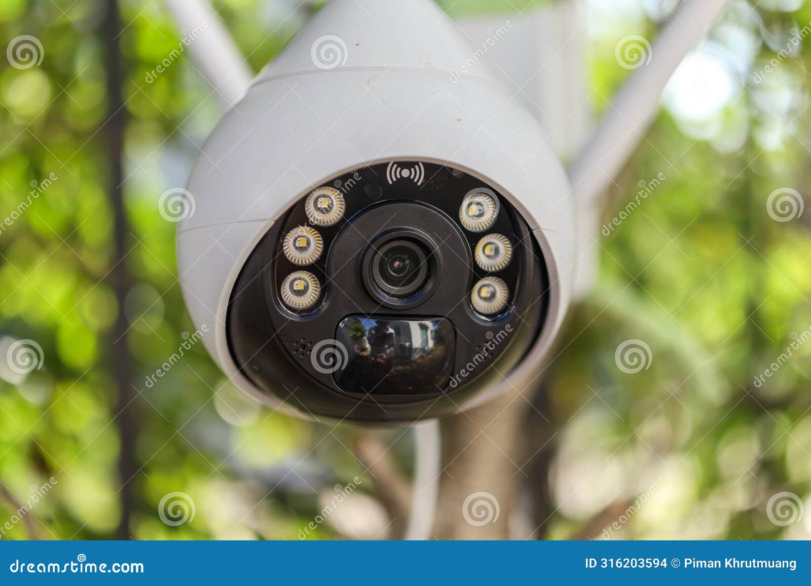Security IP CCTV Camera Using Solar Energy Install on the Tree for Home ...