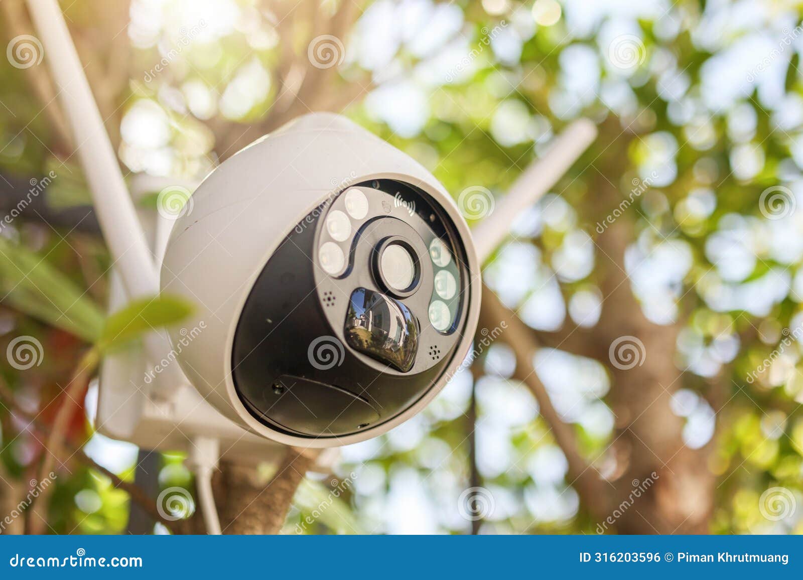 Security IP CCTV Camera Using Solar Energy Install on the Tree for Home ...