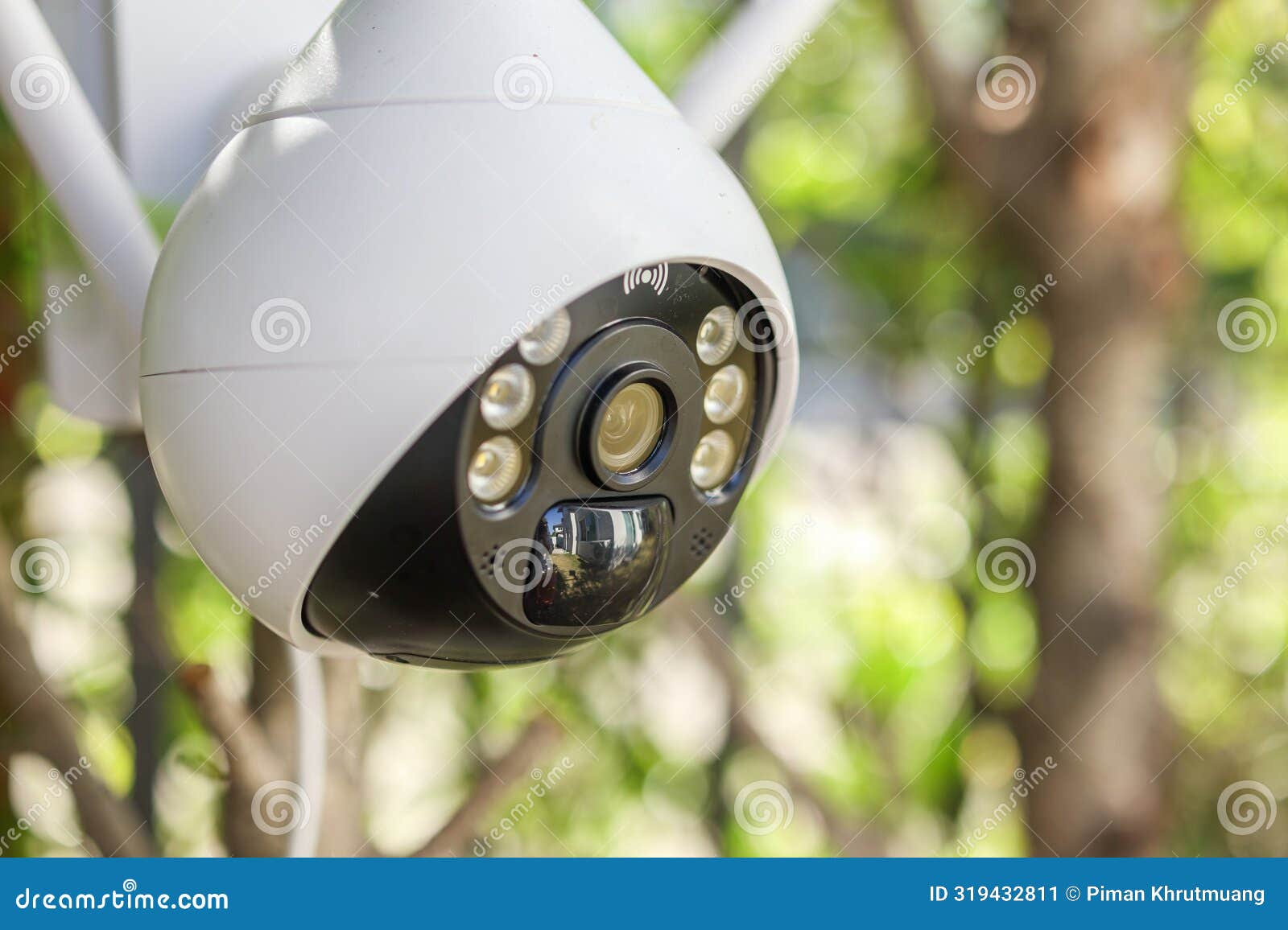 Security IP CCTV Camera Using Solar Energy Install on the Tree Stock ...