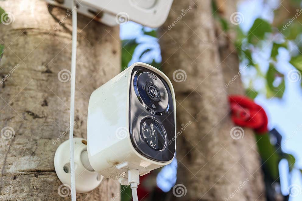 Security IP CCTV Camera Using Solar Energy Install on the Tree for Home ...