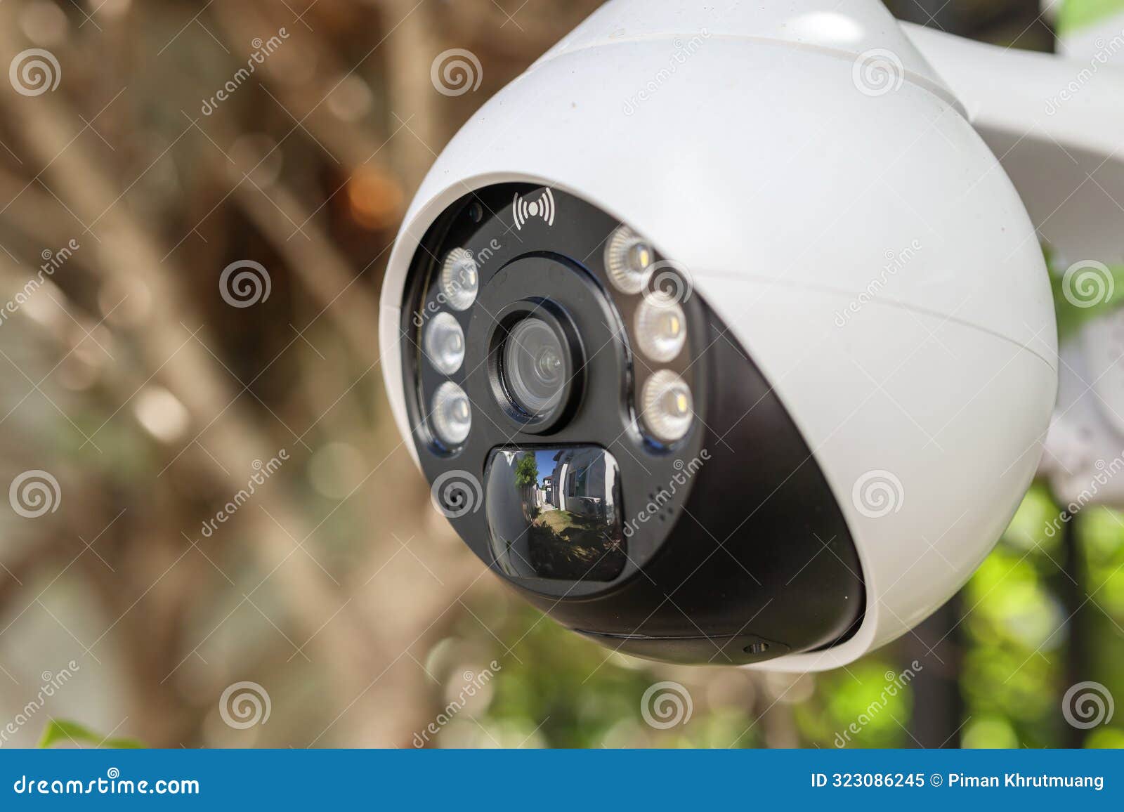 Security IP CCTV Camera Using Solar Energy Install on the Tree for Home ...