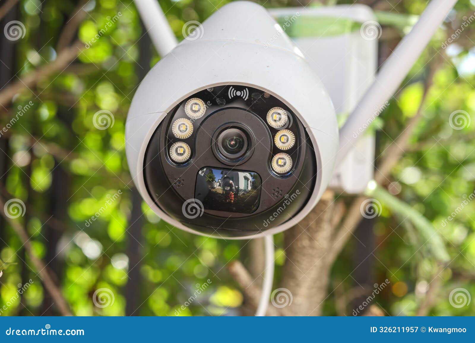 Security IP CCTV Camera Using Solar Energy Install on the Tree for Home ...