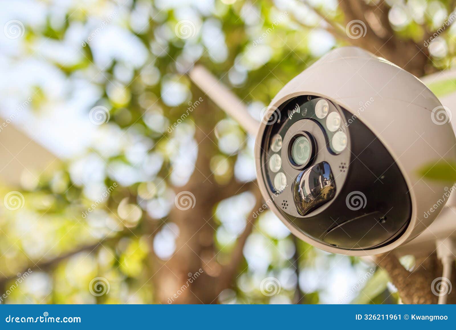 Security IP CCTV Camera Using Solar Energy Install on the Tree for Home ...