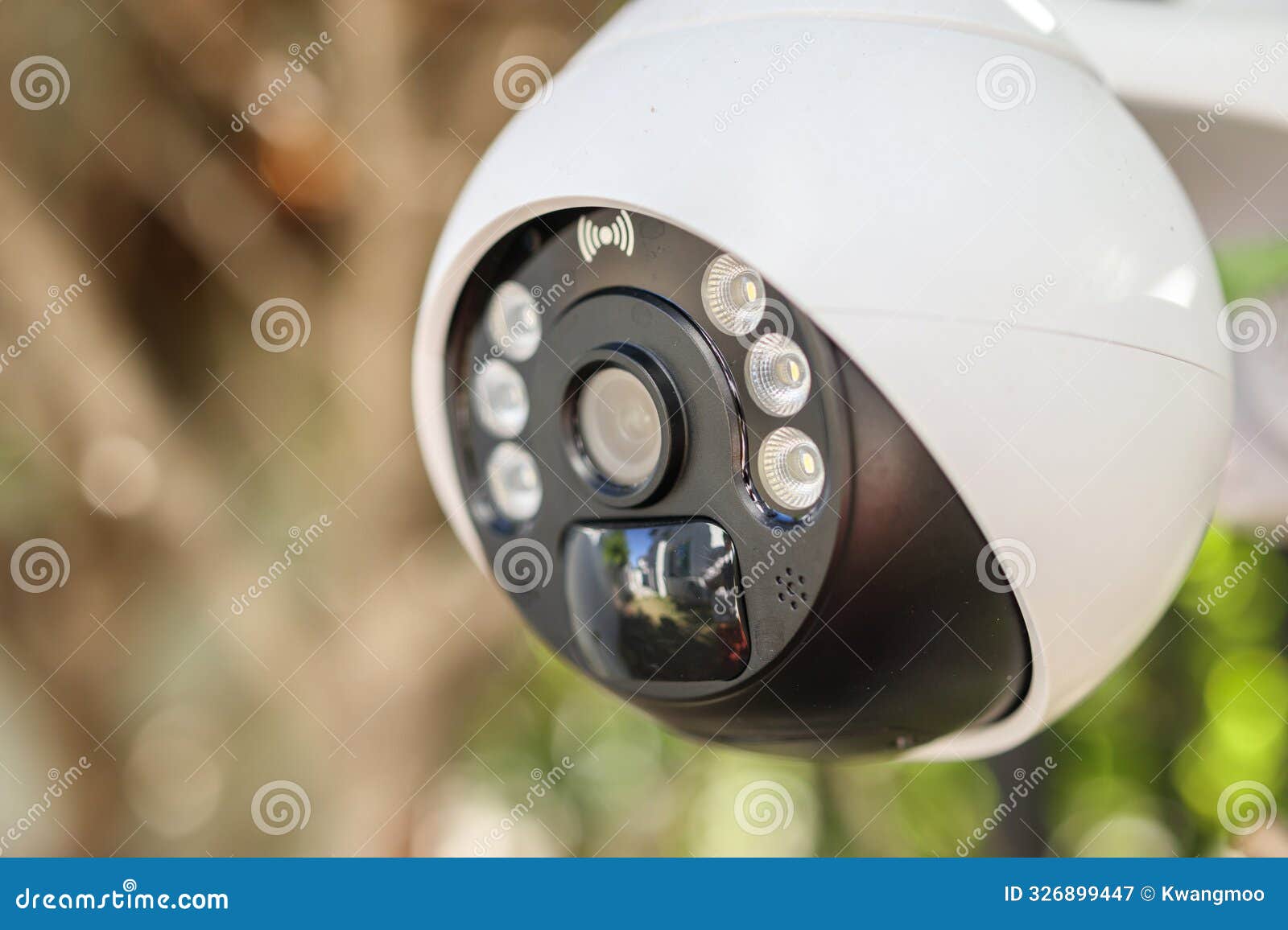 Security IP CCTV Camera Using Solar Energy Install on the Tree Stock ...