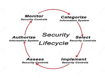 Security Life Cycle stock illustration. Illustration of monitor - 117882173