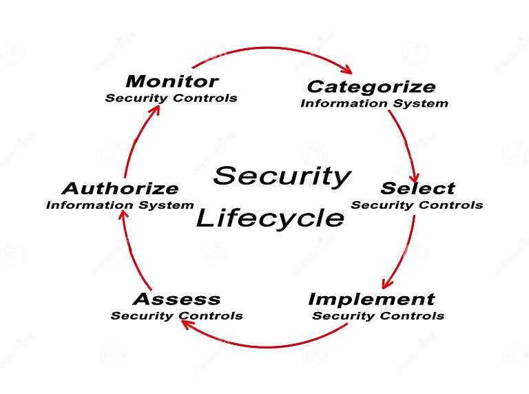 Security Life Cycle stock illustration. Illustration of monitor - 117882173