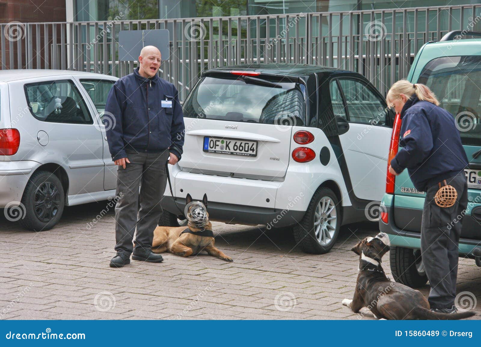 Security Service Guards with Dogs Editorial Stock Image - Image of ...