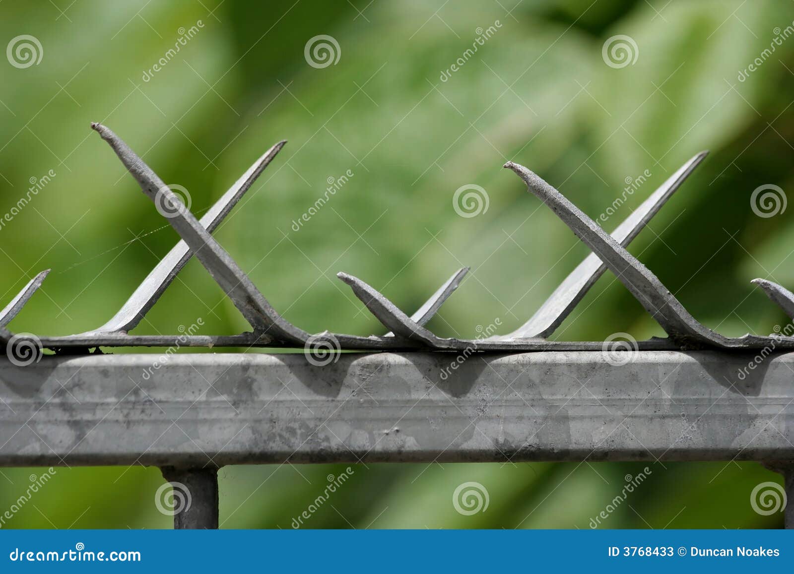 Security Spikes stock image. Image of security, protection - 3768433