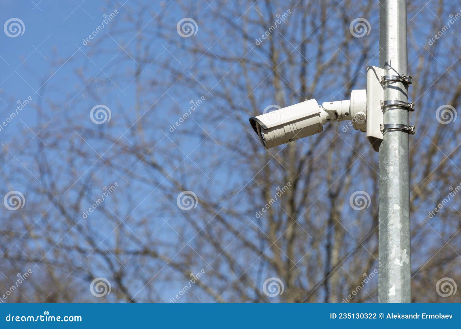 Security Surveillance Camera Near Forest. Security. Safe Life Concept ...