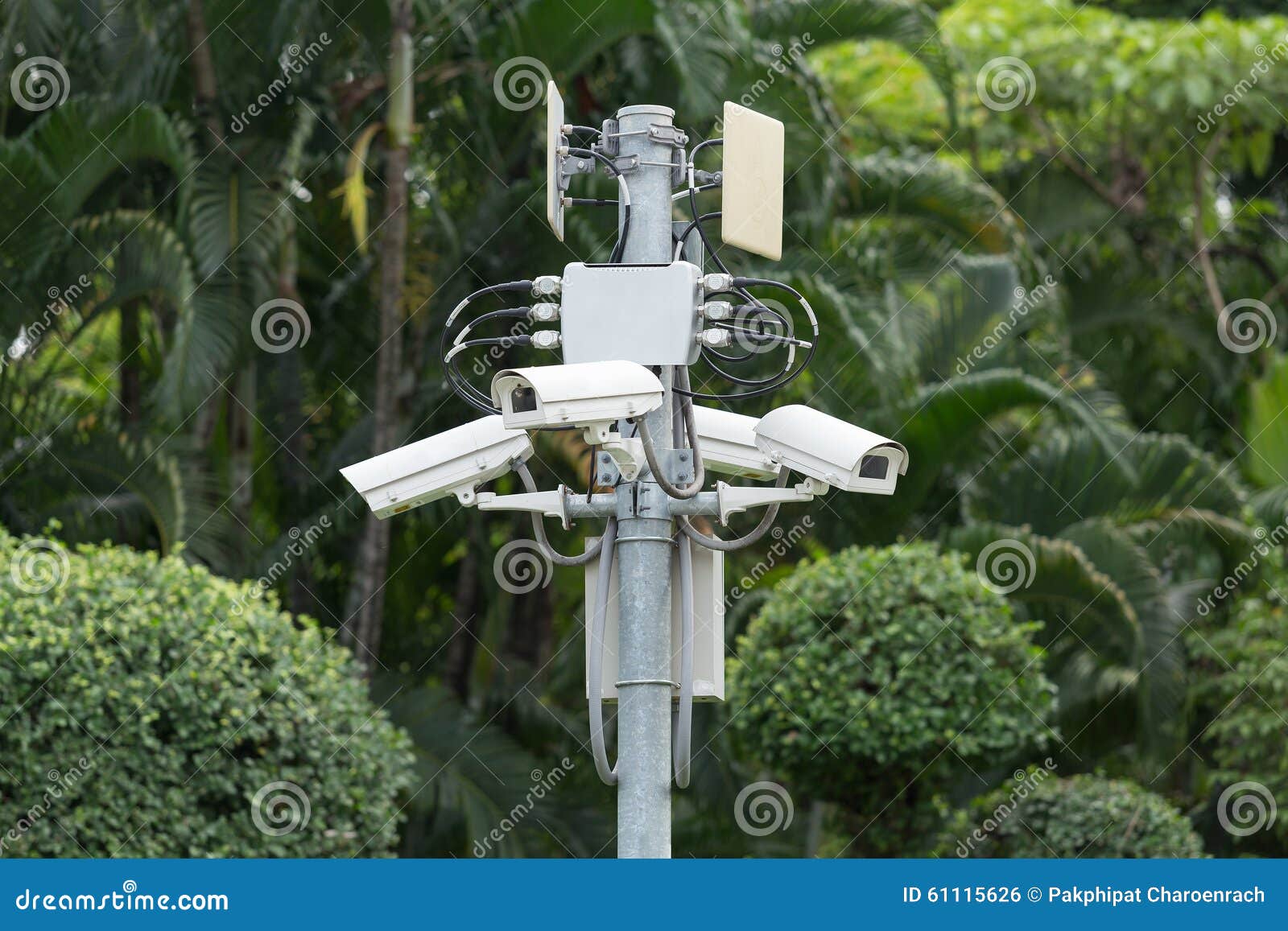 Security Surveillance Cameras in the Garden. Stock Photo - Image of ...