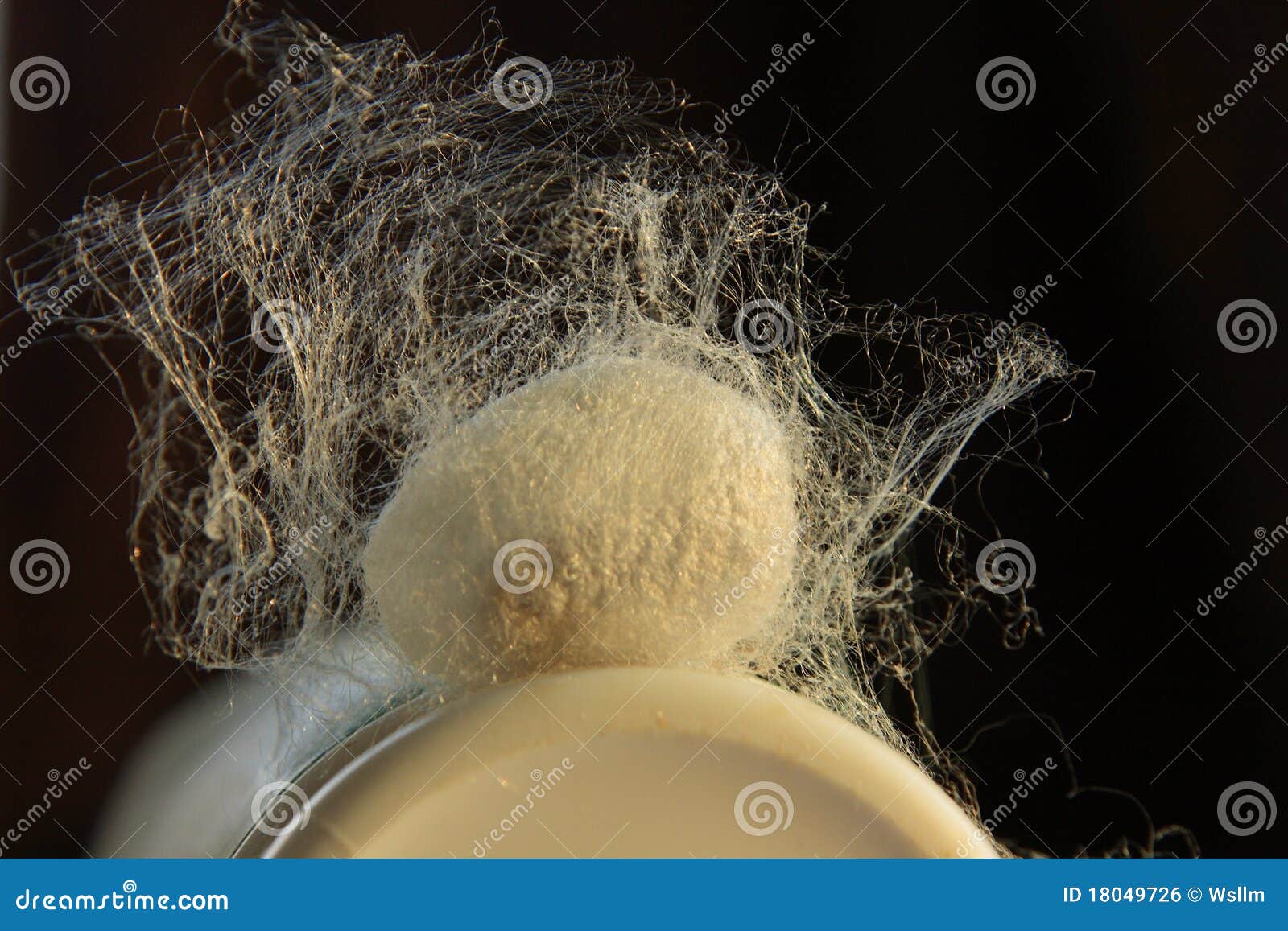 Seda foto de archivo. Imagen de silkworm, seda, completo - 18049726