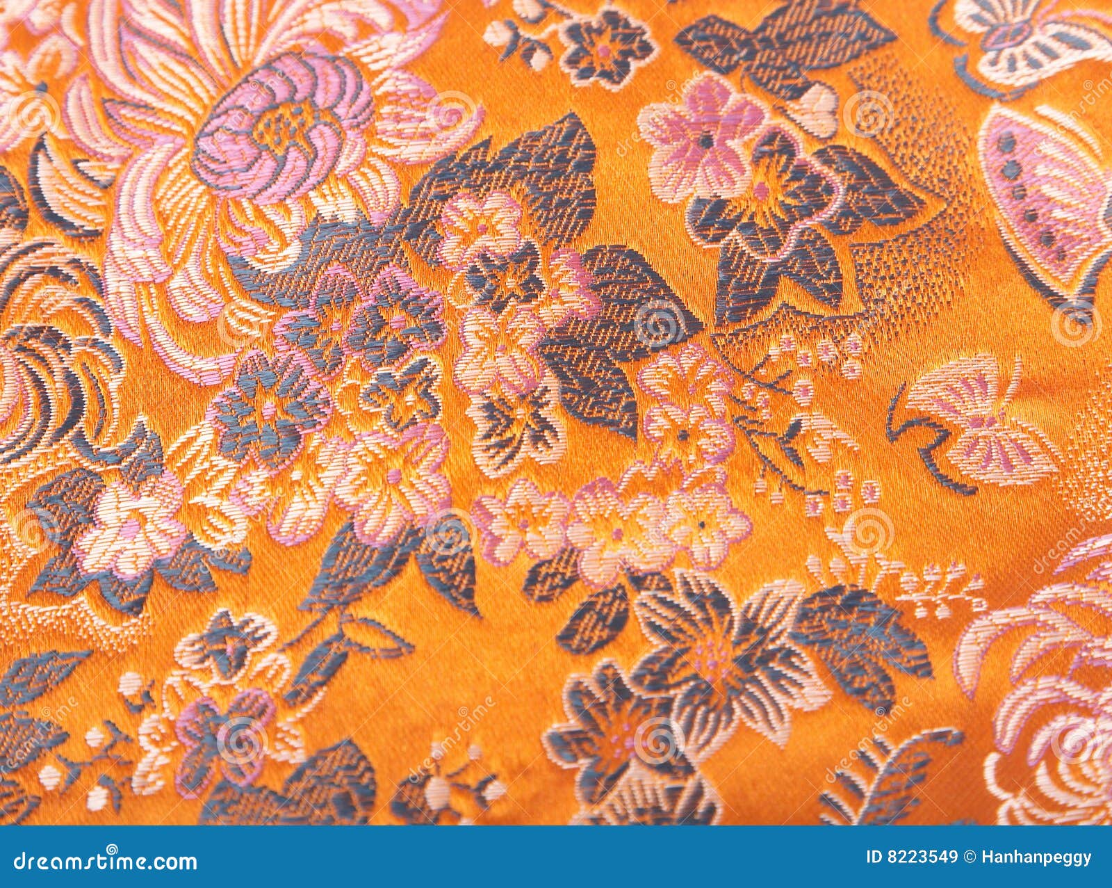 Seda china imagen de archivo. Imagen de modelo, fibra - 8223549