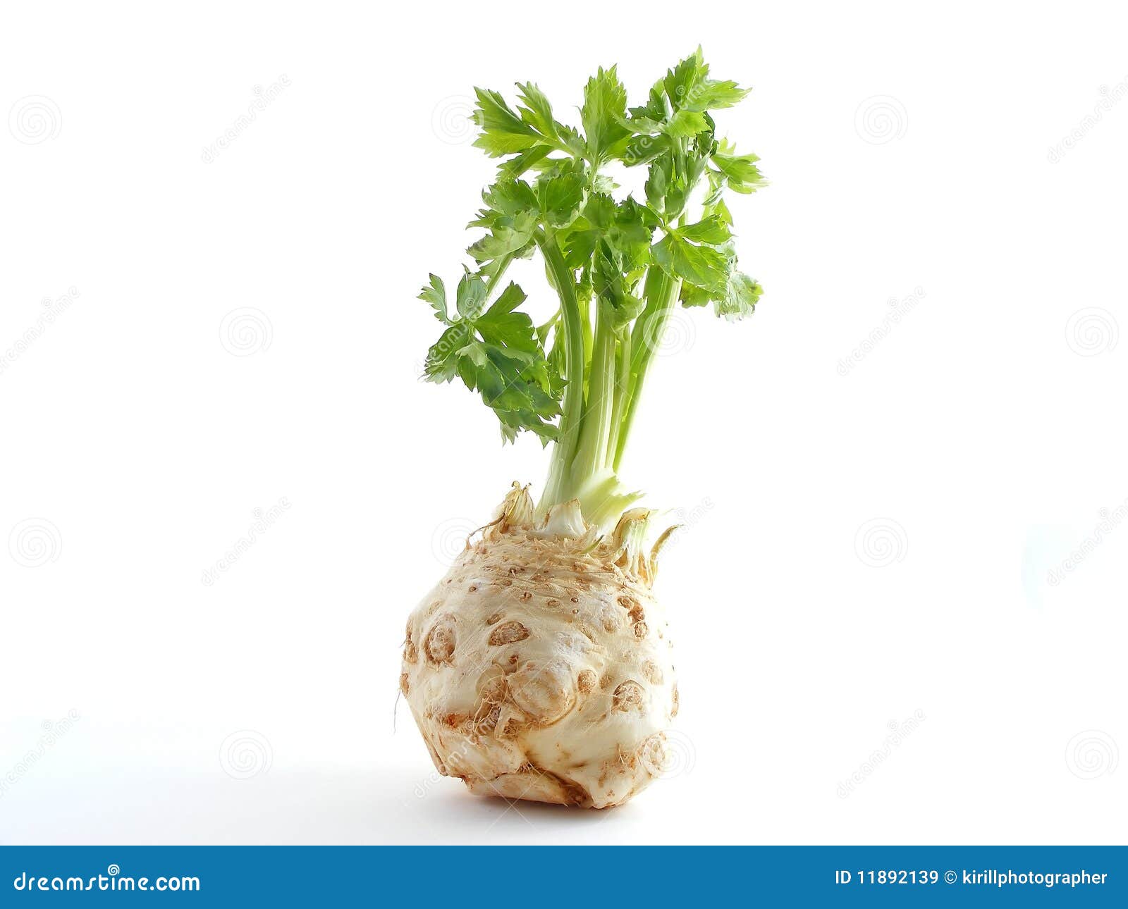 Sedano immagine stock. Immagine di alimento, freschezza - 11892139