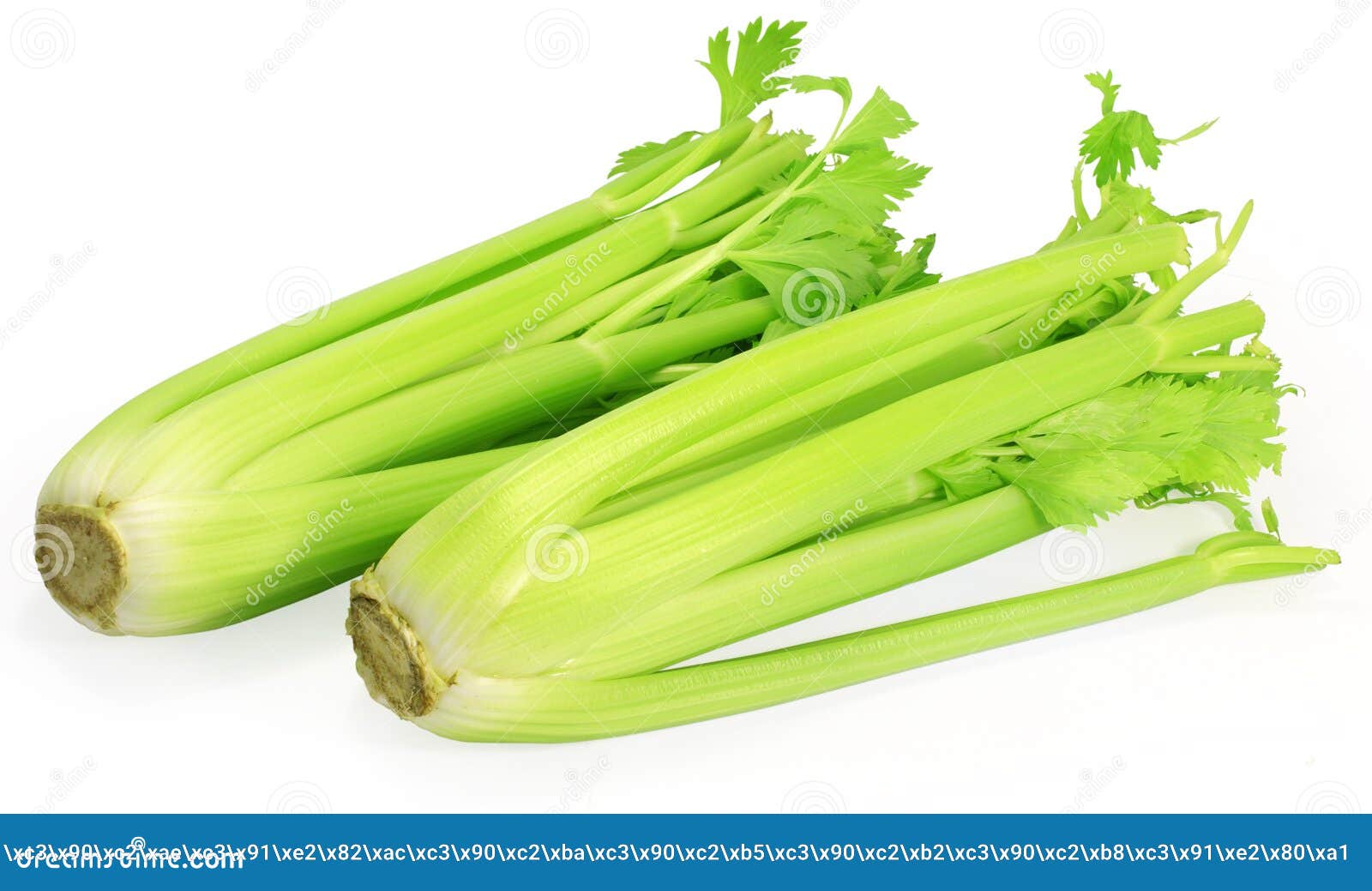 Sedano fotografia stock. Immagine di grezzo, oggetto - 13238326