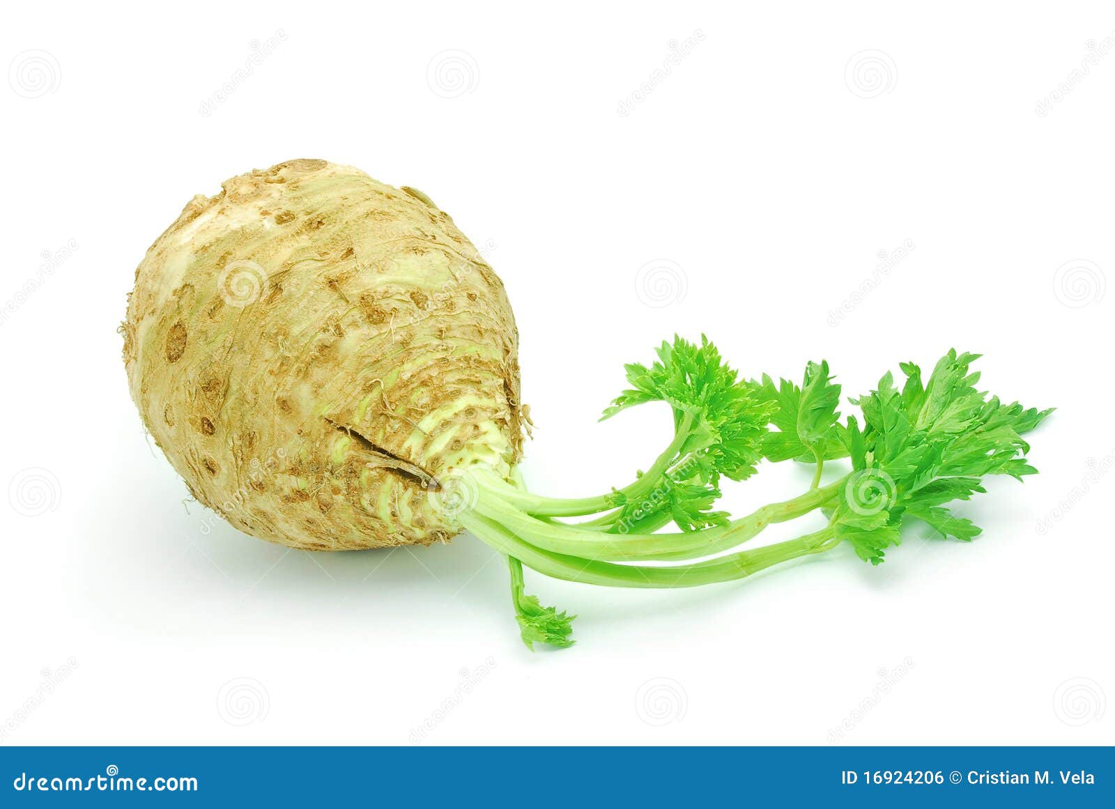 Sedano fotografia stock. Immagine di ingrediente, isolato - 16924206