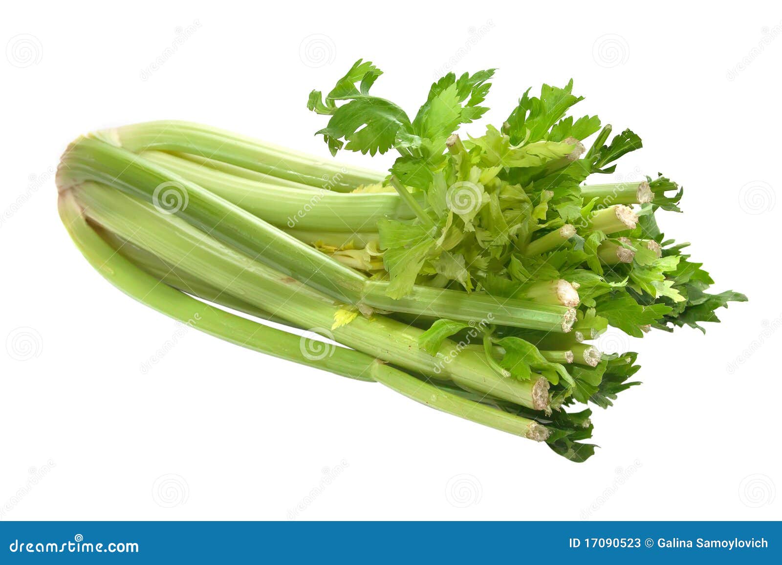 Sedano immagine stock. Immagine di pranzo, sano, commestibile - 17090523