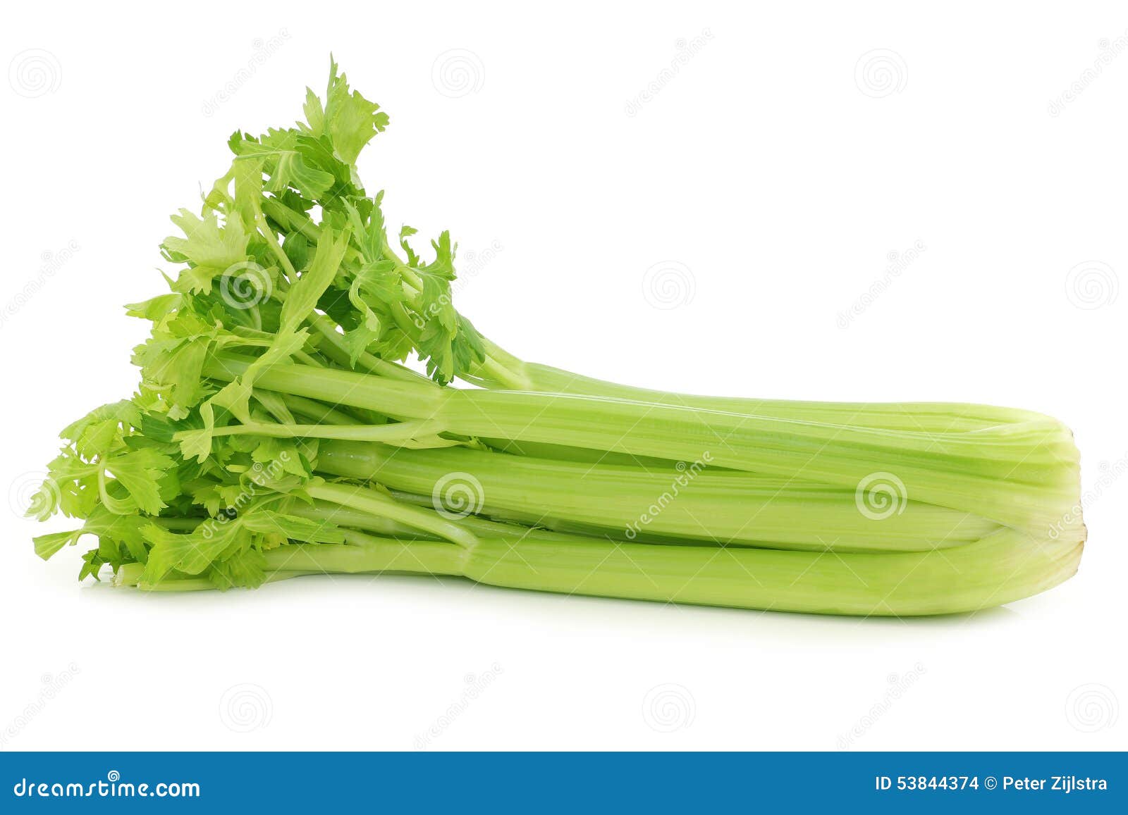 Sedano fresco fotografia stock. Immagine di gambi, salsa - 53844374