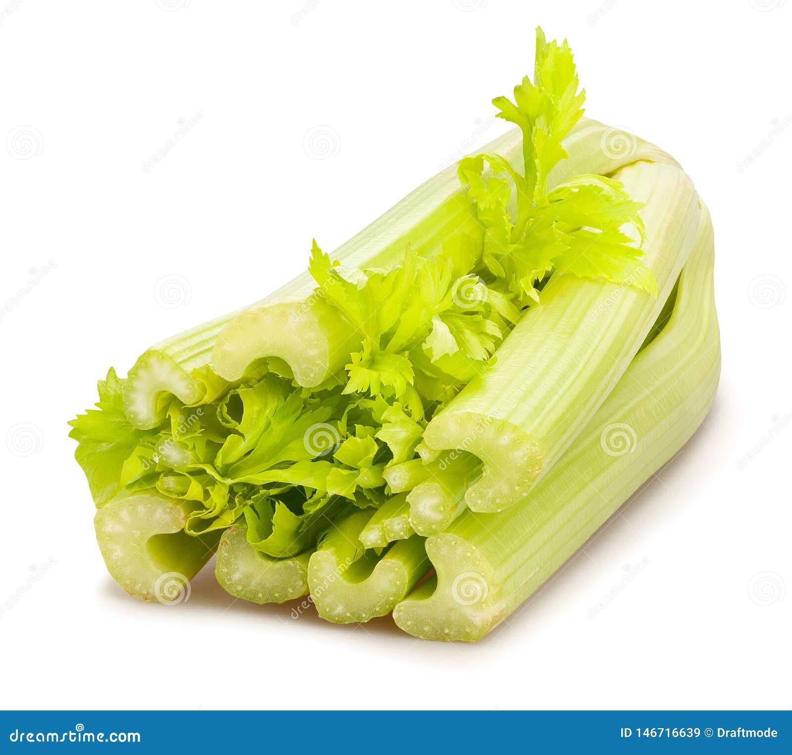 Sedano immagine stock. Immagine di bianco, gambo, nessuno - 146716639