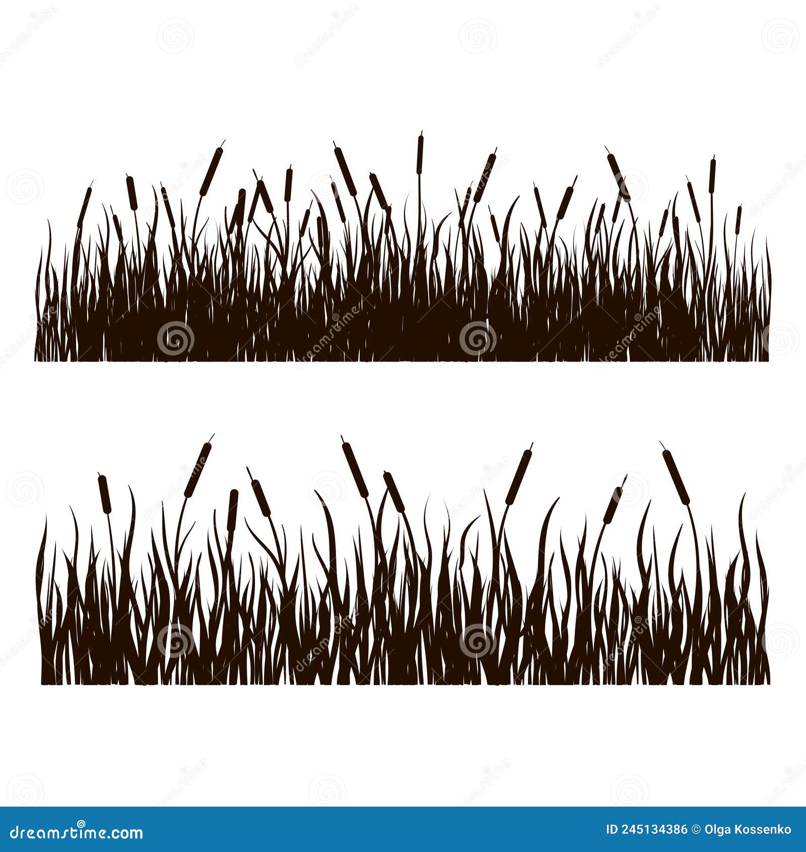 Sedge And Cattail Grow. Ducks And Geese Are Flying. Black Silhouette ...