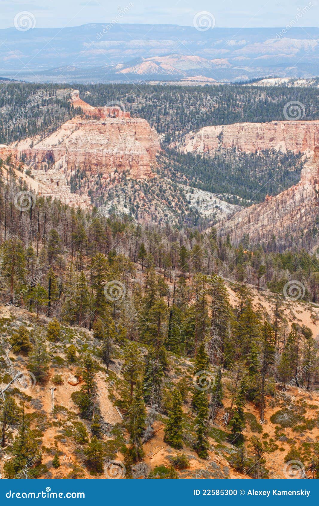 Sedimentary Rock Formations in Bryce Canyon Park Stock Photo - Image of ...