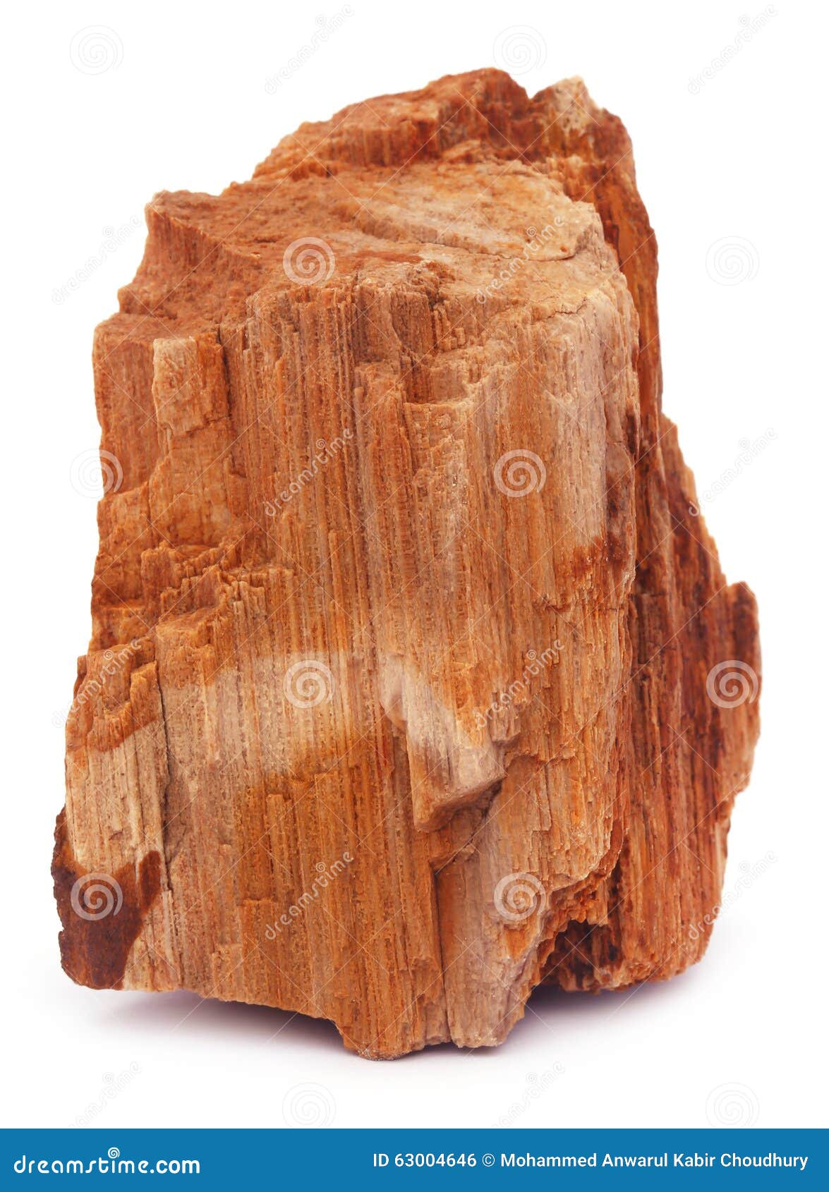 Sedimentary rock stock photo. Image of golden, layered - 63004646