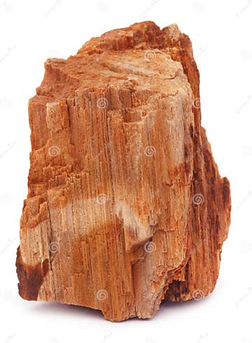 Sedimentary rock stock photo. Image of golden, layered - 63004646