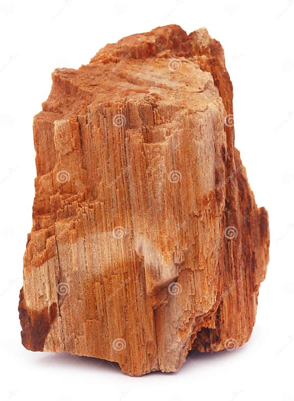 Sedimentary rock stock photo. Image of golden, layered - 63004646