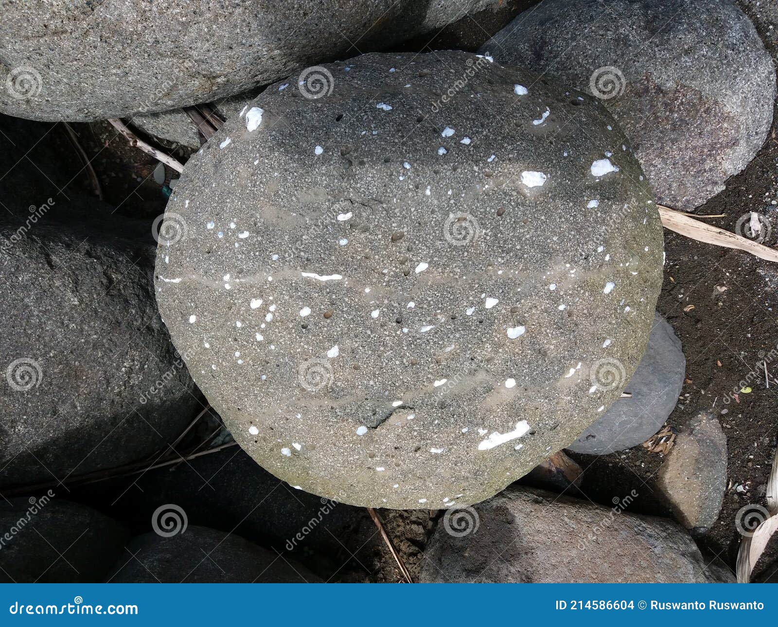 The Sedimentary Rock is Round Stock Photo - Image of iron, tree: 214586604